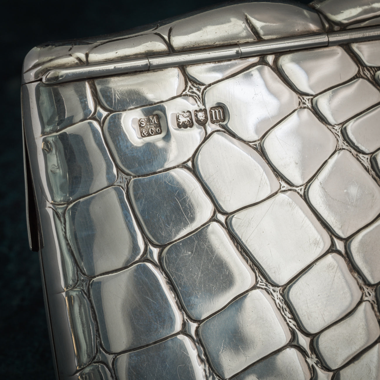 Silver Crocodile Skin Pattern Coin Purse – Bentleys London