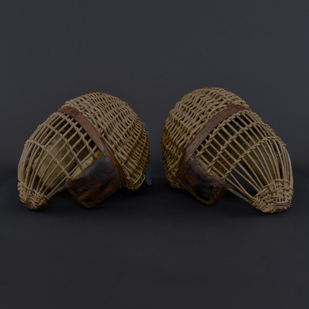 Fencing Helmets – Bentleys London