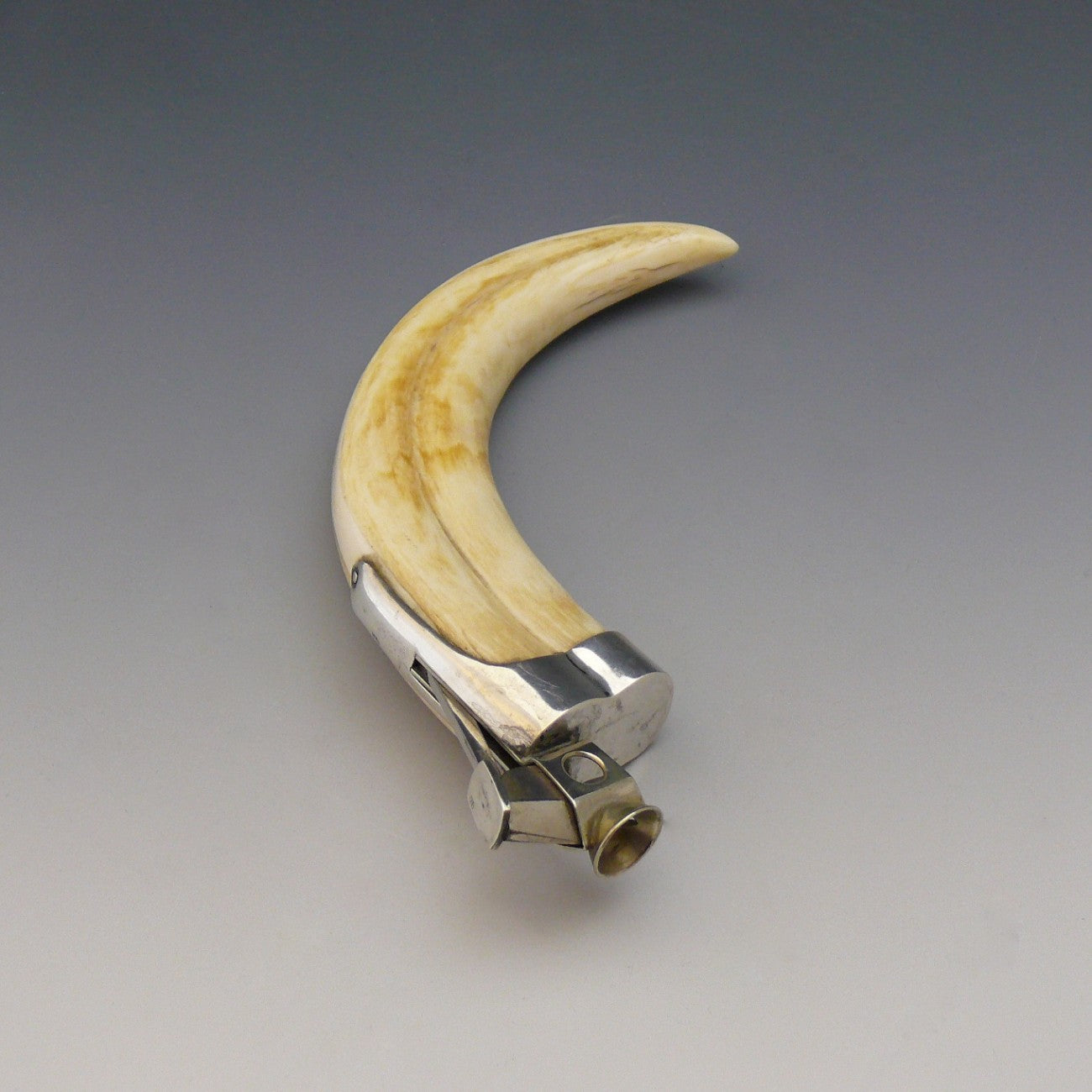 Boars Tusk Cigar Cutter – Bentleys London