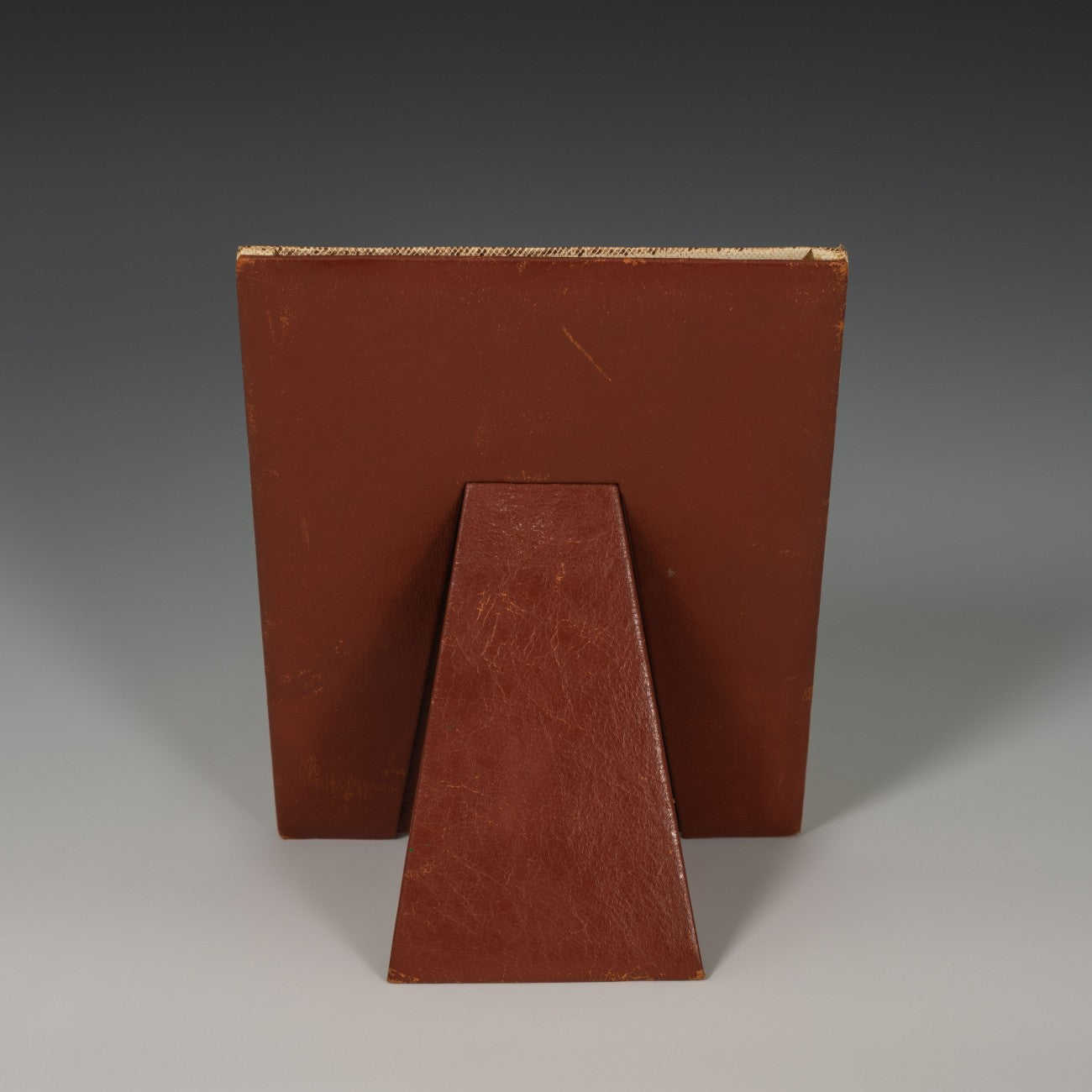 Snake Skin Picture Frame – Bentleys London