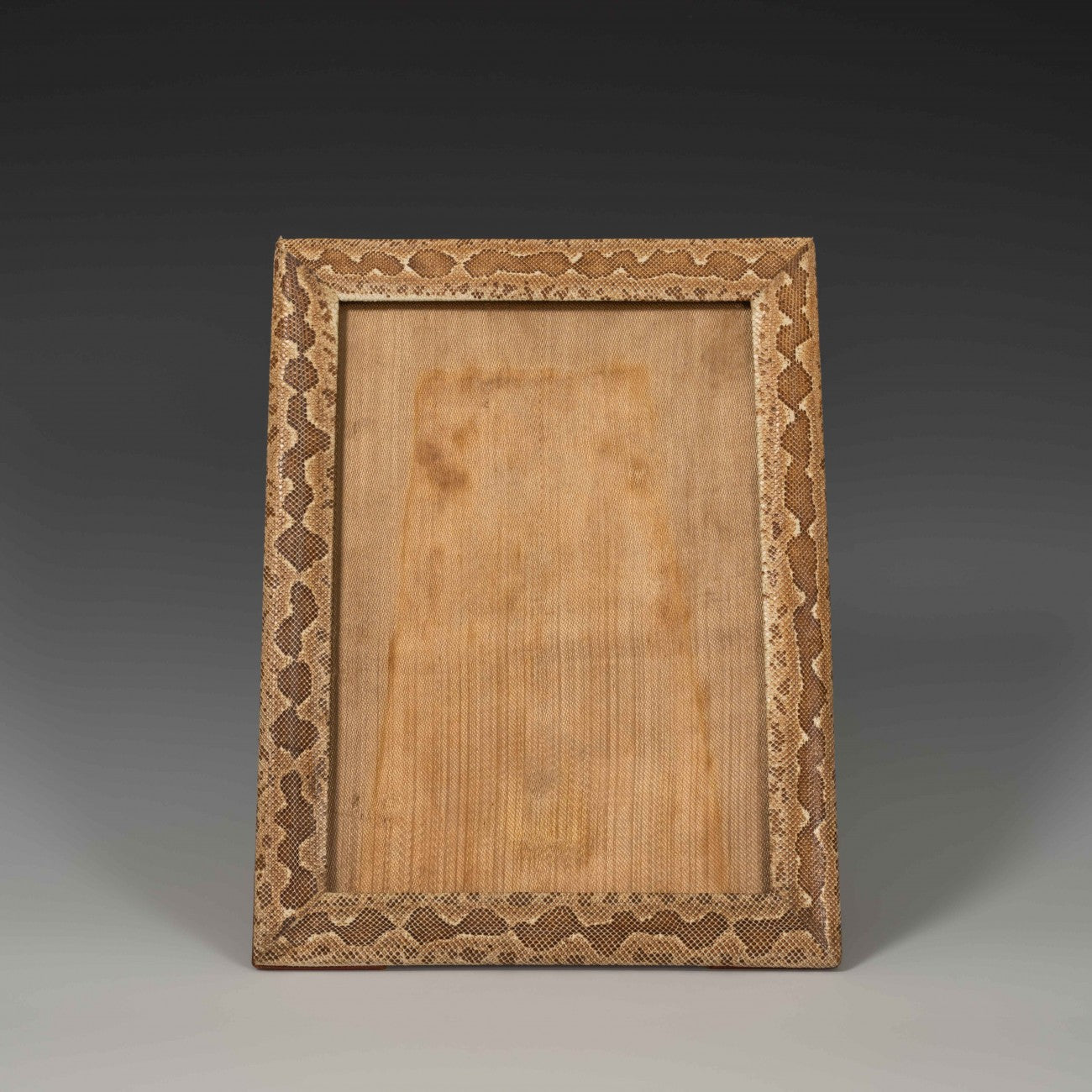 Snake Skin Picture Frame – Bentleys London