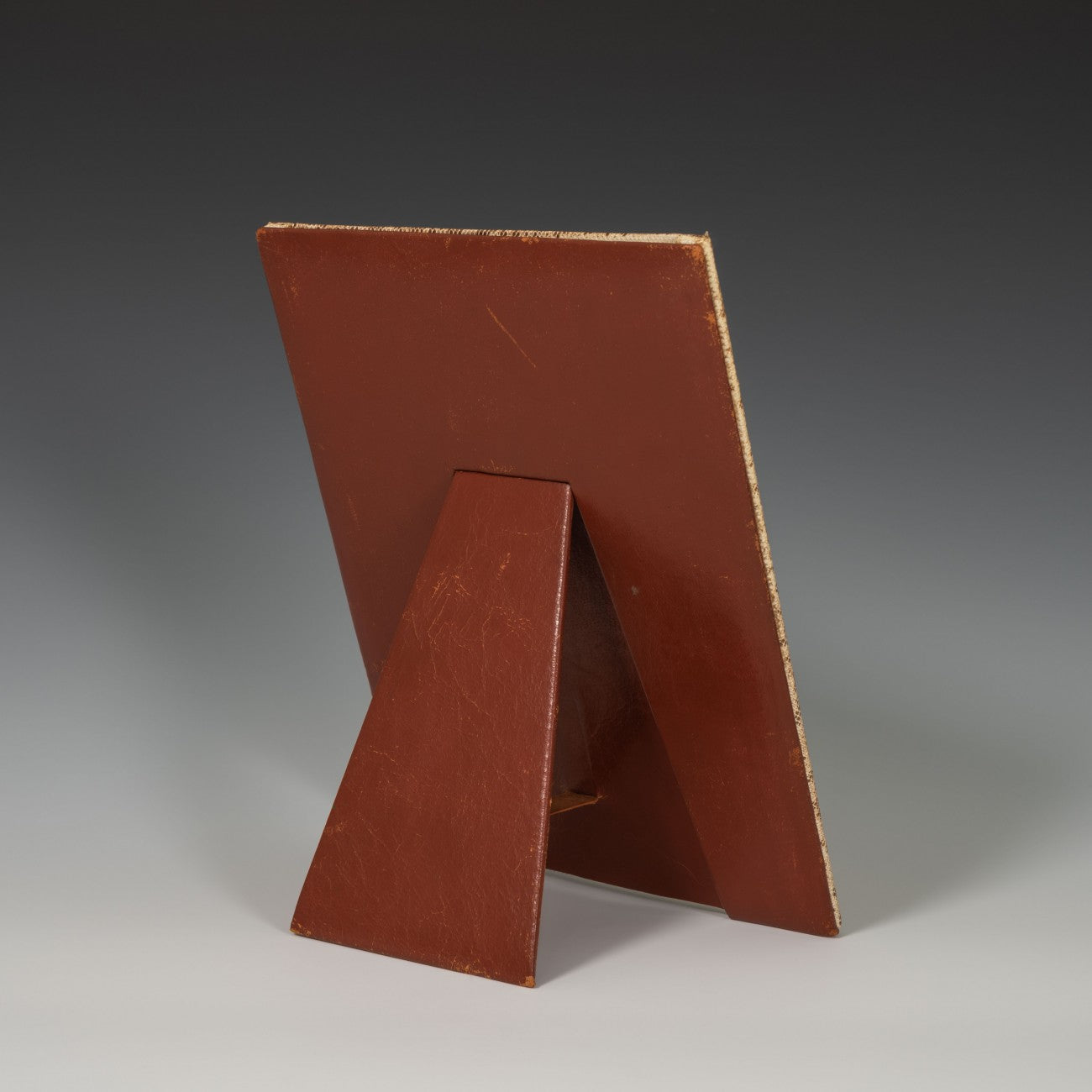 Snake Skin Picture Frame – Bentleys London